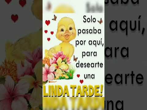 FELIZ TARDE😘
