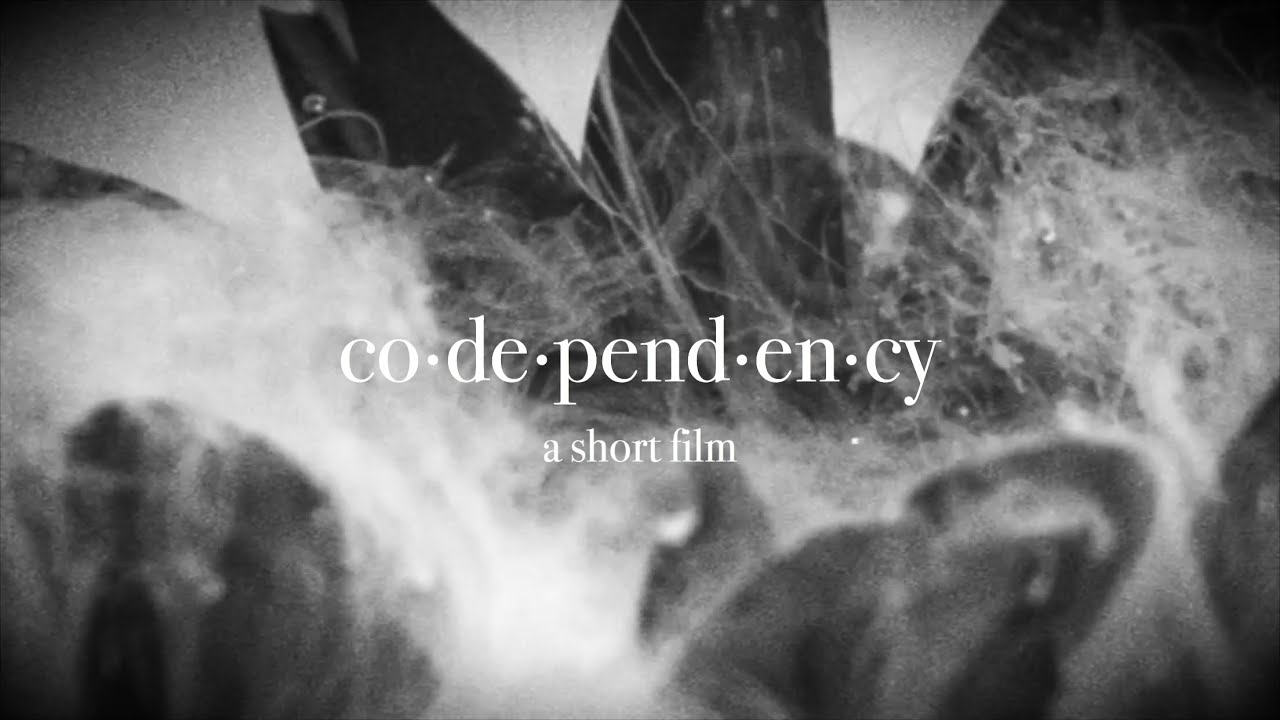 Codependency; A Short Film