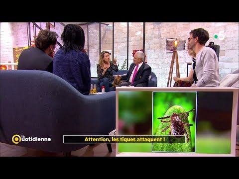 Attention, les tiques attaquent !