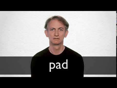 PAD definition and meaning | Collins English Dictionary