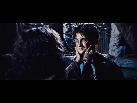 harry potter • lost in s p a c e