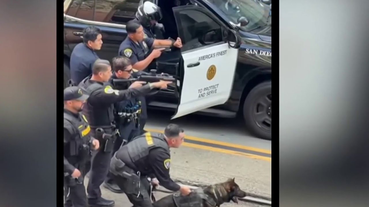 Neighbor records dramatic arrest after Petco parking lot attendant attacked downtown | NBC 7