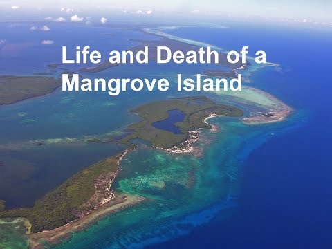 Can You Explain Your Research to a Lay Audience—in 3 Minutes? | The ...