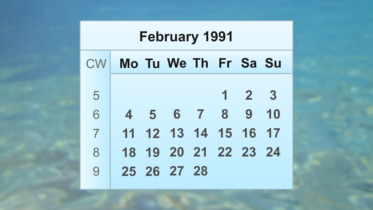 February 1991 Calendar