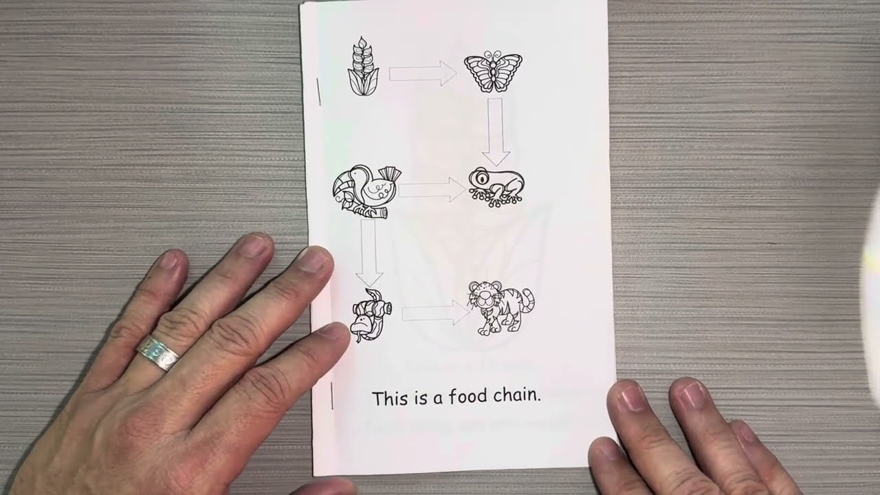 This Is A Food Chain Guided Reading and Coloring Book
