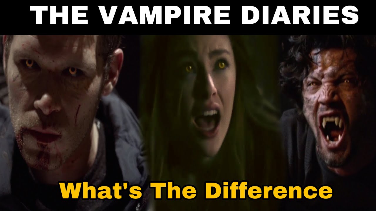 Hybrids Tribrids Werewolves I What’s the difference I Creatures of The Vampire Diaries universe