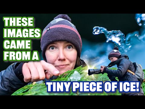 Winter Nature Photography ❄️ Photographing Magical Images From a Tiny Piece of Ice