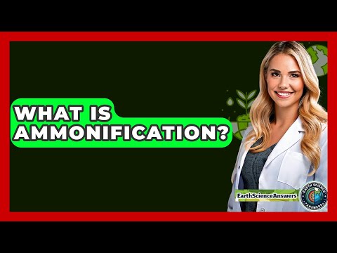 What Is Ammonification? - Earth Science Answers