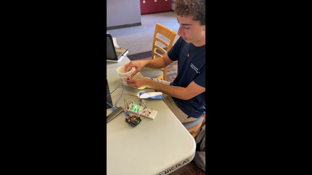 Electronic Assignment 6