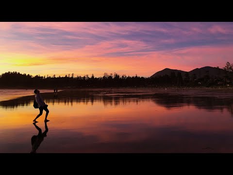 I'll Be Fine - Palace (Video)