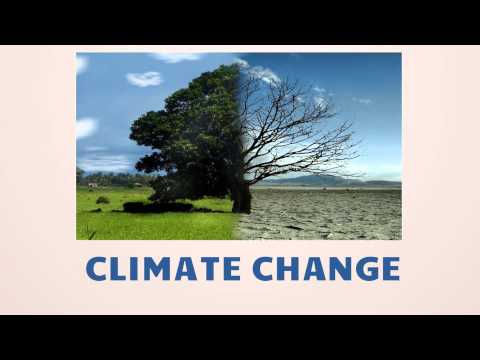 5 Facts About Climate Change in the Caribbean (Bz Empasis)