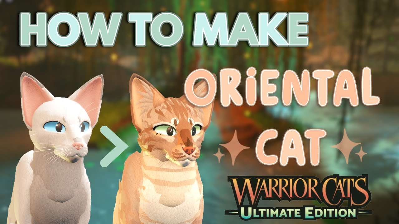 MORPH TUTORIAL - ORIENTAL CAT! | How to make? Ep. 18 | Warrior Cats: Ultimate Edition 🐈‍⬛