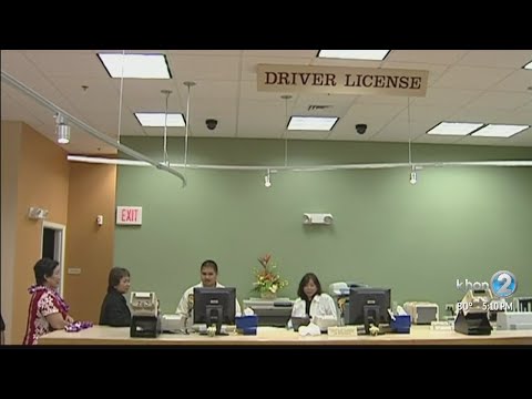 City wants you to make an appointment before renewing your driver's license