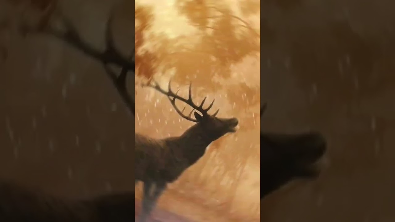 #short #Animal #wallpaper #ststus #shorts #animals #wallpaper #status