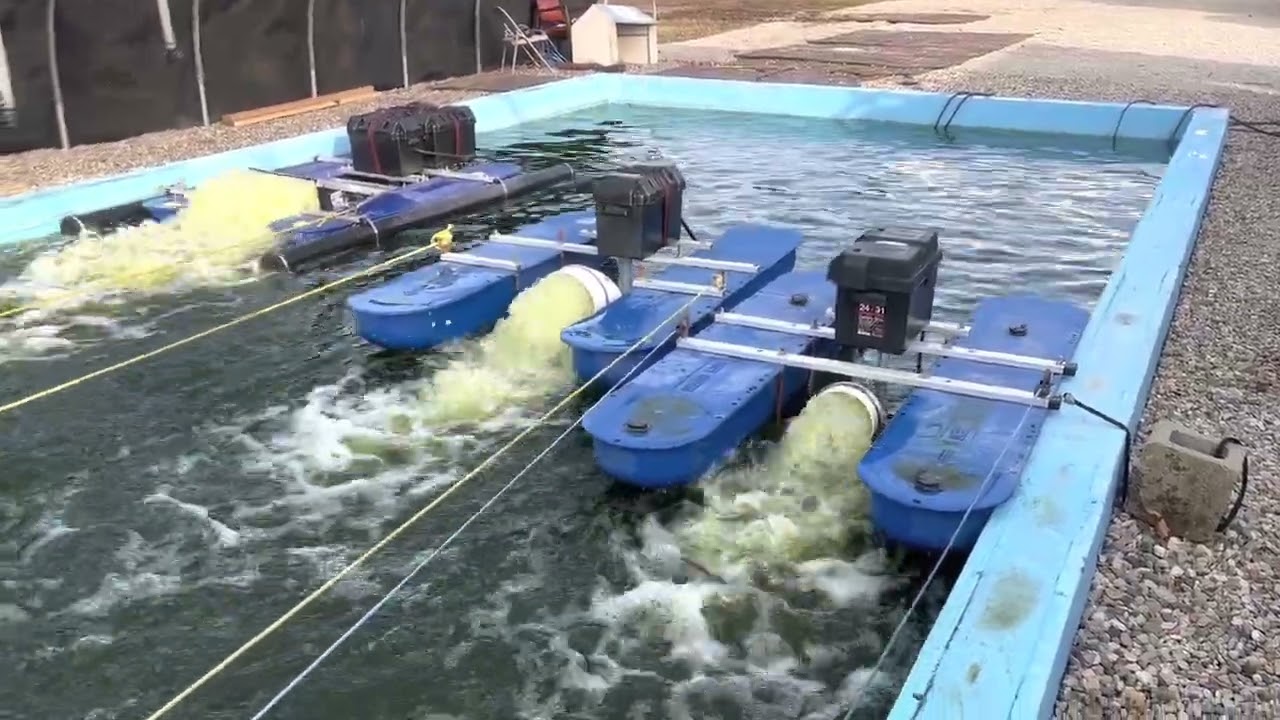 Aeration for Aquaculture, Ponds/Lakes, Hydroponics/Aquaponics, Wastewater Treatment!