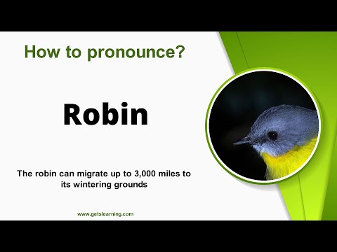 How to pronounce Robin in English correctly
