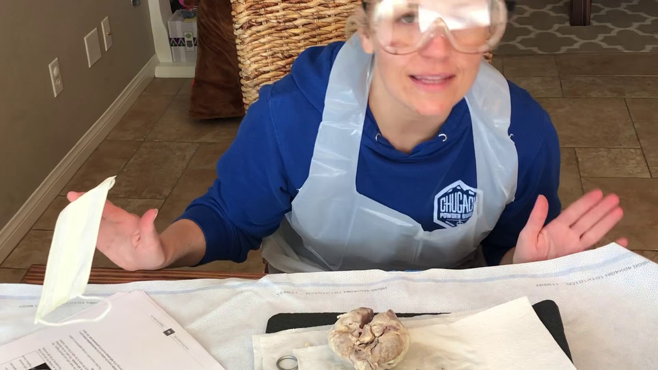 Bio 240 week 2