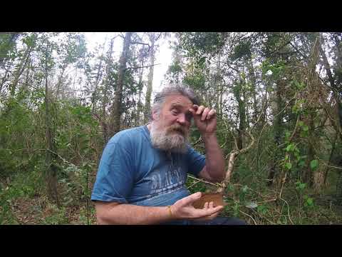 šµ Wedge - Wedge Meaning - Wedged Examples - English C2 Vocabulary