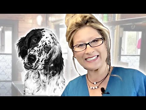 How to TRIM your SPORTING DOG like a Professional
