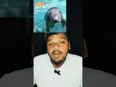#manatee #manatees #manateeappreciationday #endangered #mammal #climatechange #climatechange