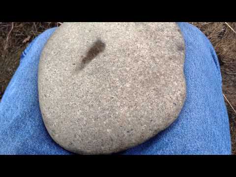 Metate and mano Ancient stone Indian artifacts