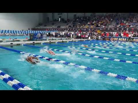 Men’s 200y Free H3 Prelims NCAA 2025