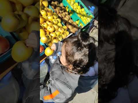 #eğitici #eğlenceli #komik #bebek #çocuk Eğitici video /elma kurdu Hamza / 🤣 (Hamza 1 yaşında)
