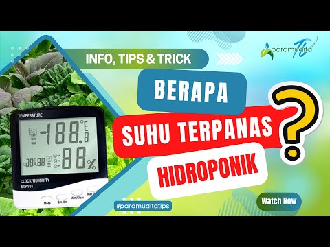 YT Batas Tertinggi Suhu Air di Tandon Hidroponik