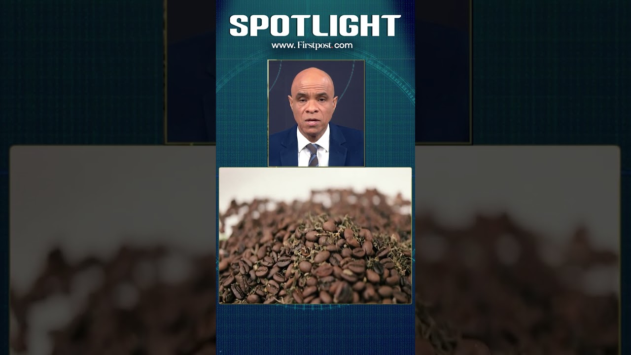 Trump's Tariff Relief For Indonesia | Spotlight | N18G