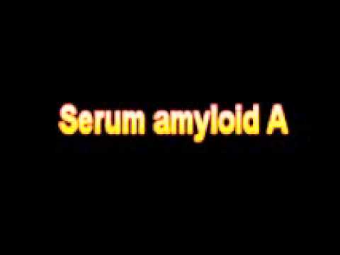 What Is The Definition Of Serum amyloid A Medical School Terminology Dictionary