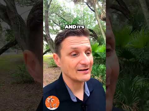 Florida's Sinkhole Hotspots: Three Counties to Avoid When Moving!