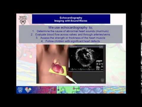 What is Echocardiography?