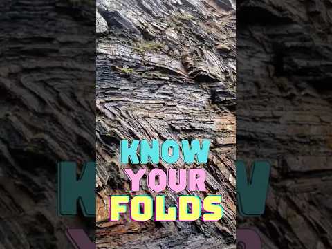 What Is A Geologic Fold? #shorts