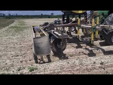 Transplanting sweet potatoes behind PATS HYDRAULICALLY Driven Cone Rollers @Fisher Family Farms !