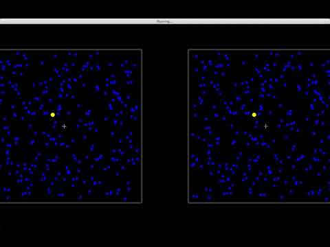 Motion Induced Blindness Demo