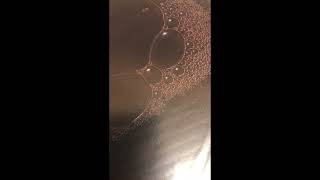 May 20, 2023. Top Broadway Shows