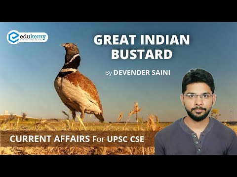 Great Indian bustard | Current Affairs | Devendra Saini | UPSC CSE | Edukemy