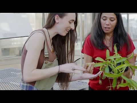 Environmental Horticulture | York College of Pennsylvania