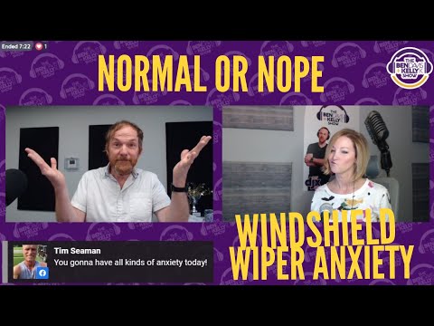 Normal or Nope: Windshield Wiper Anxiety - 99.7 DJX
