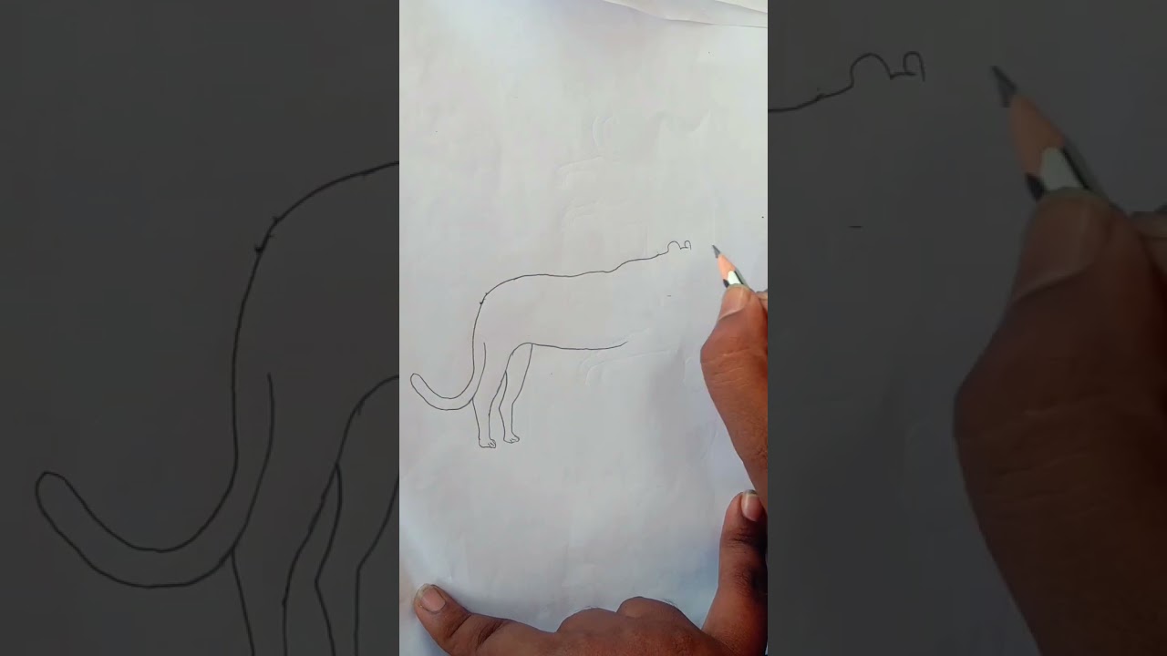 How to draw a cheetah drawing!Animal drawing!