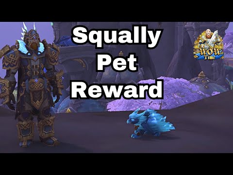 Initial Review Of WOW The War Within Pre-Purchase Heroic And Epic Reward Squally Pet