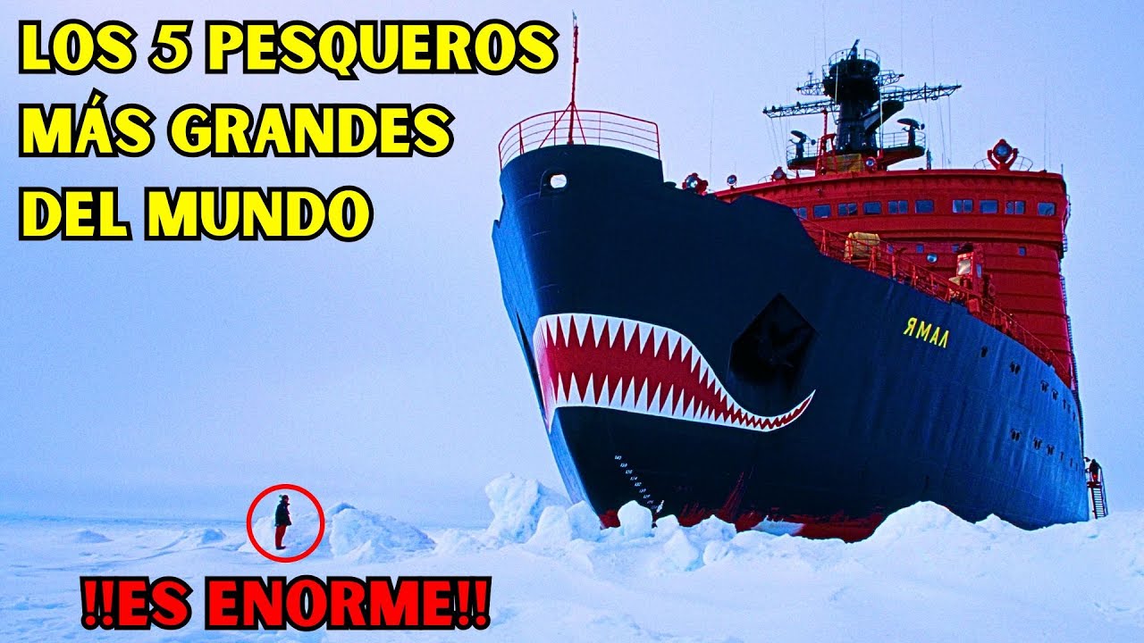 Los 5 BARCOS PESQUEROS más grandes del mundo - Pesca extrema