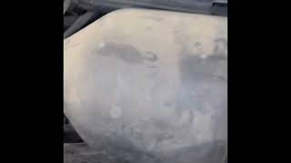 P0607 on 2006-2009 Ford Fusion 2.3L: Control Module Performance Causes ...