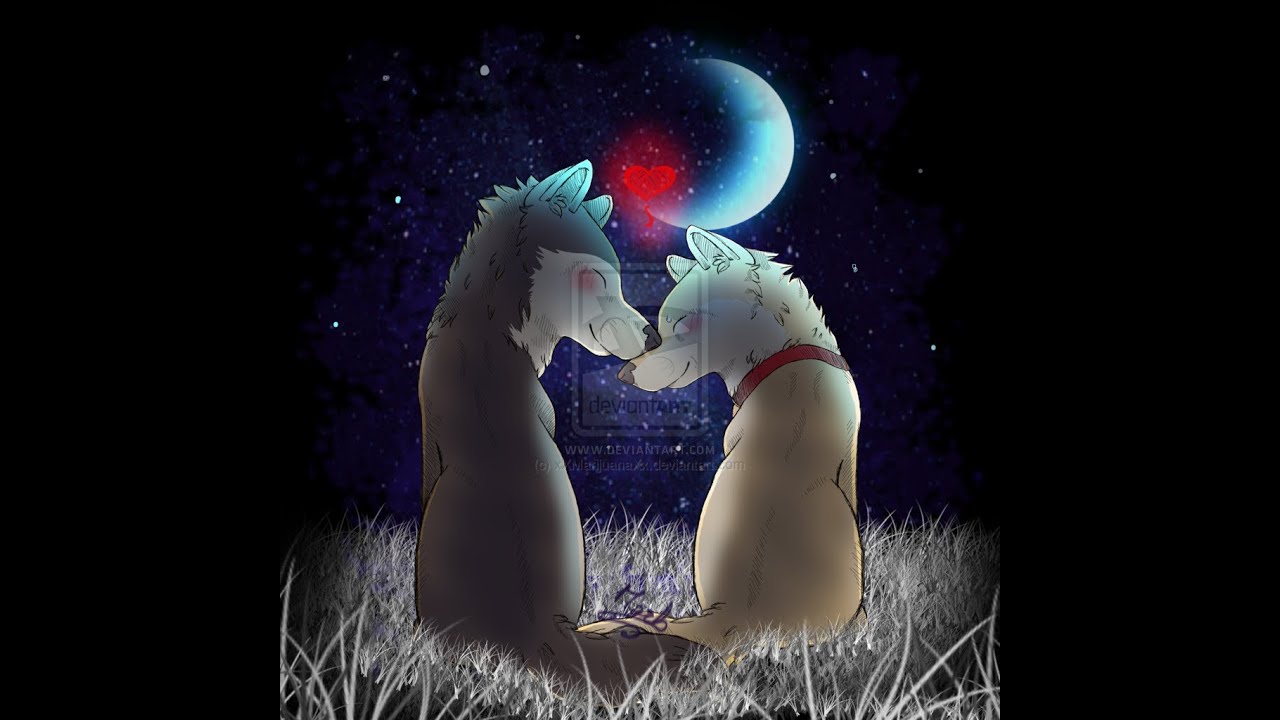 Speedpaint : Wolf  Love