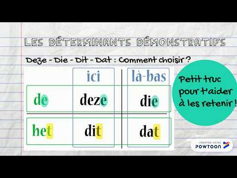 Néerlandais - Les déterminants démonstratifs
