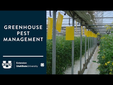 Greenhouse Pest Management