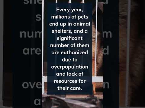 Do you adopt from animal shelters? Drop a comment 👇. #shorts #sad #pets