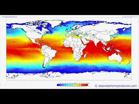 Sea water temperature - global map - time lapse 2016