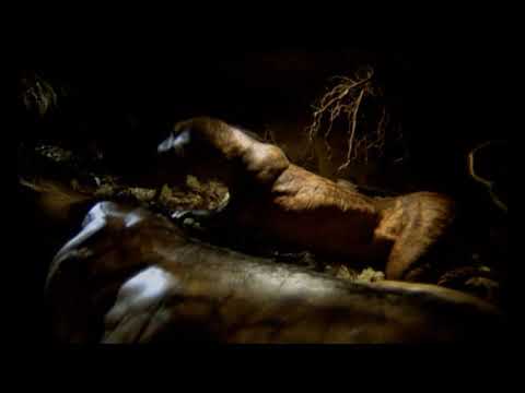 Prehistoric Planet (2002) - Cynodont (Thrinaxodon)