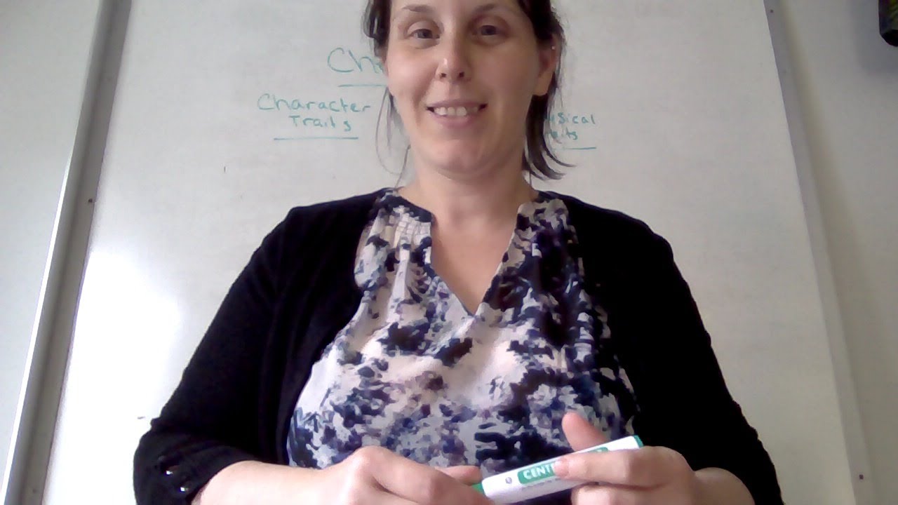 Chester's Way Character Trait Worksheet